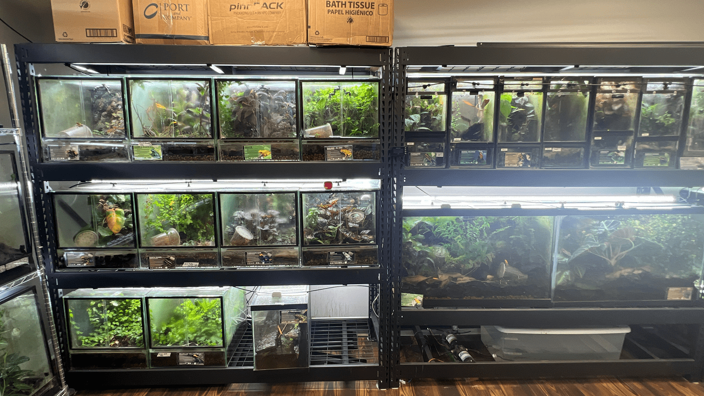 WNY Reptiles, Exotic Pet Supplies & More in North Tonawanda NY - Avalon ...