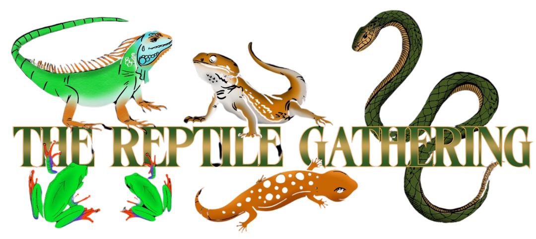 Reptile Events in Buffalo NY from Avalon Exotics